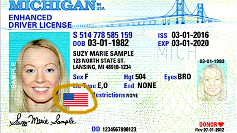 Get Temporary License Plate Michigan - Temporary Plates USA 🇺🇸